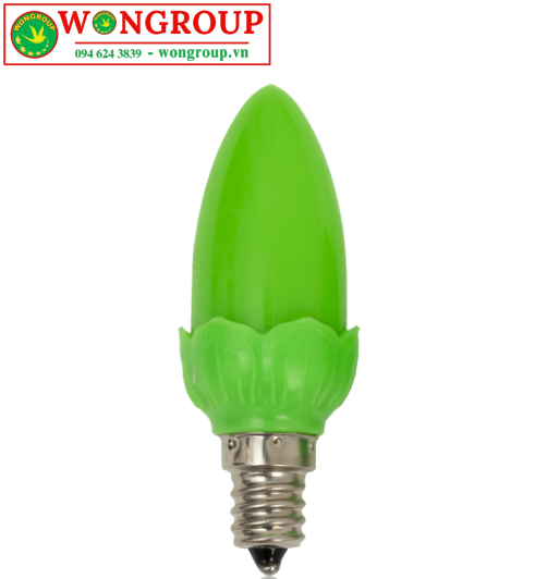 Tập đoàn WonGroup